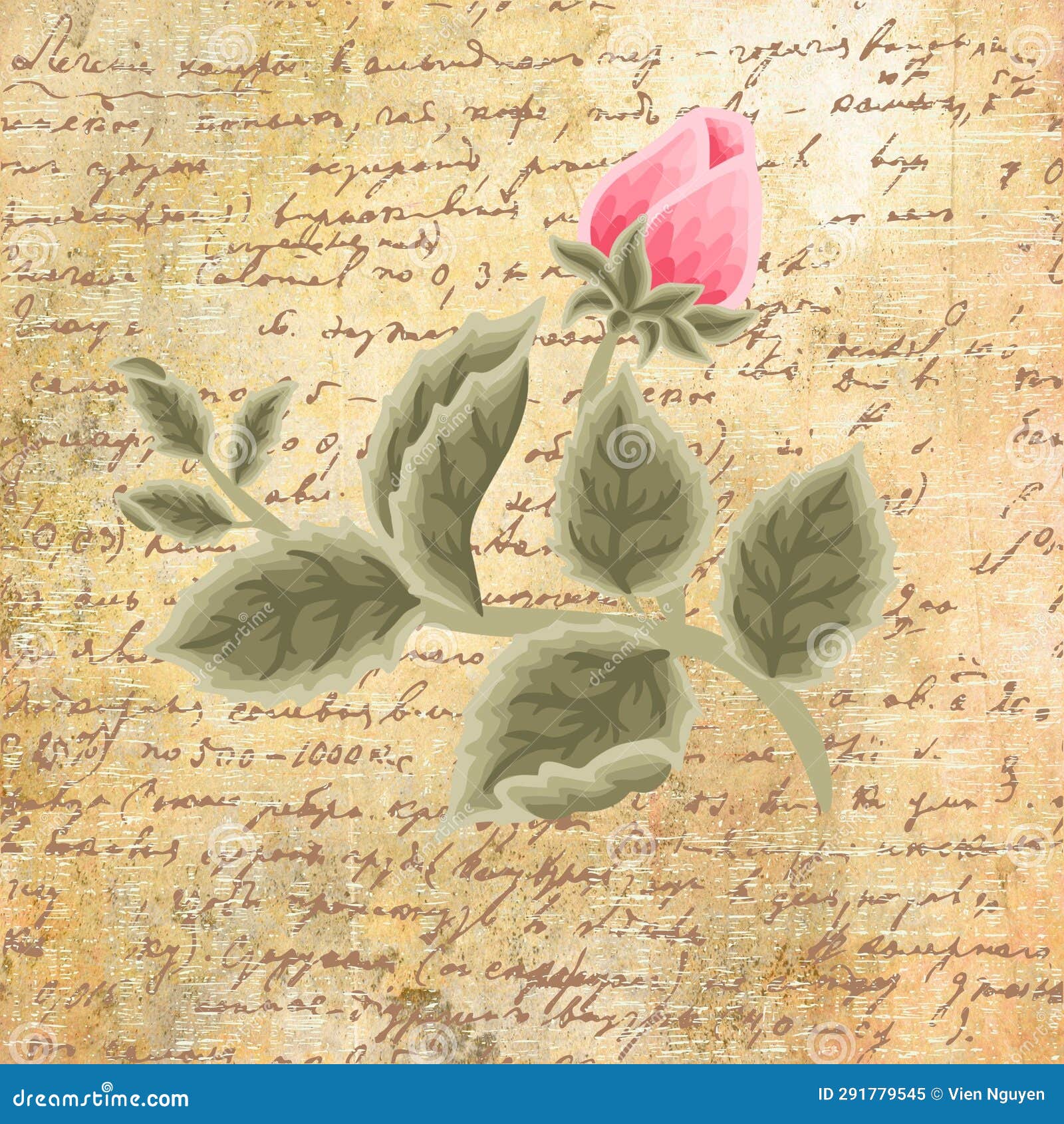 Vintage Pink Roses Old Papers 12x12 - 2 Stock Illustration ...