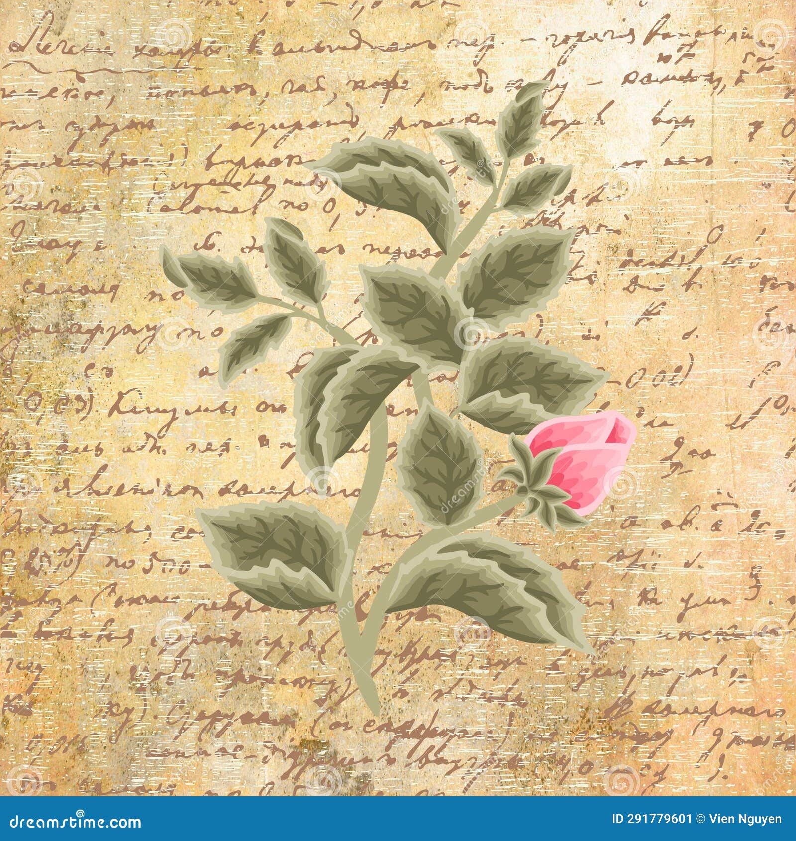 Vintage Pink Roses Old Papers 12x12 - 7 Stock Illustration ...