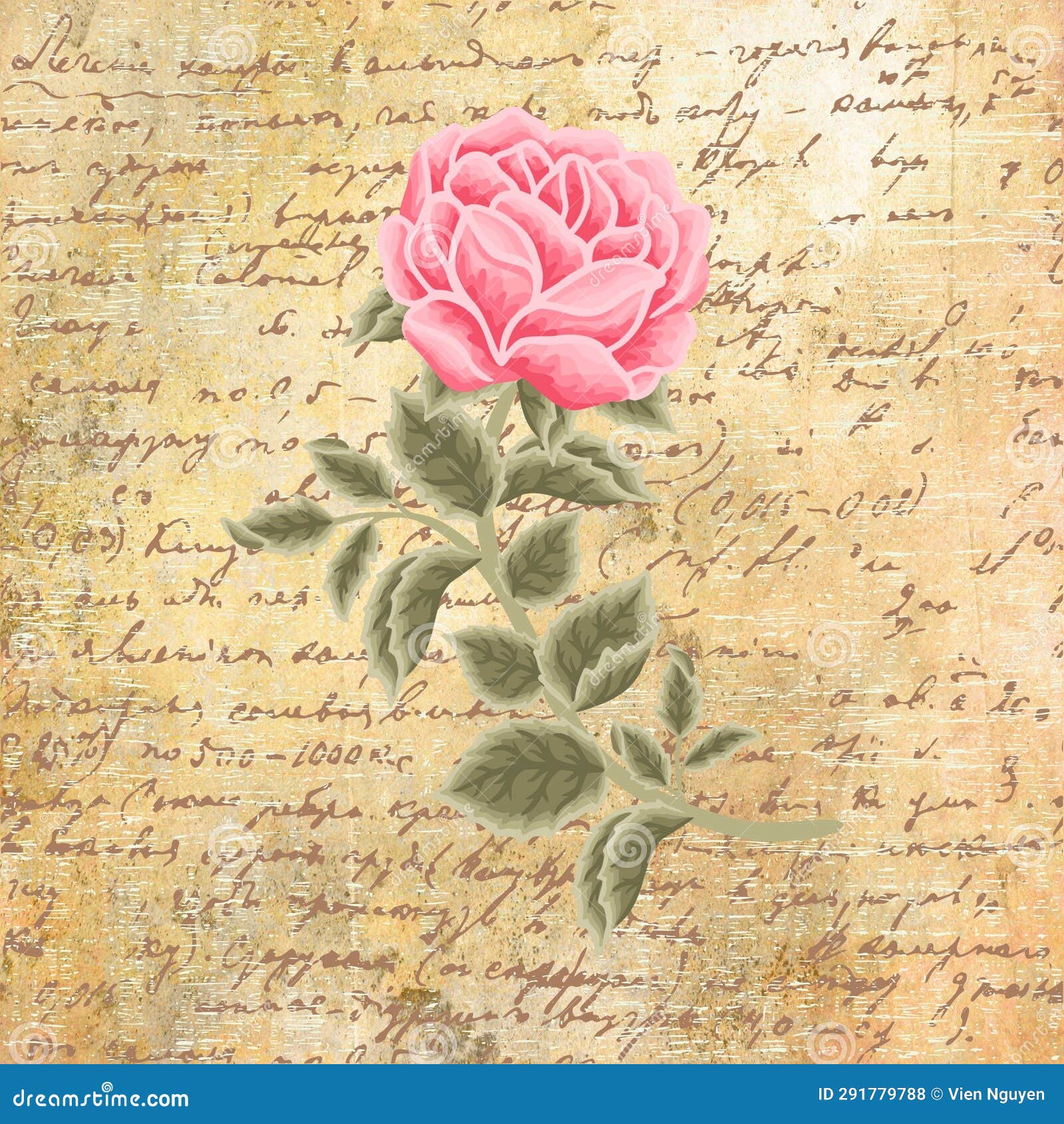 Vintage Pink Roses Old Papers 12x12 - 26 Stock Illustration ...