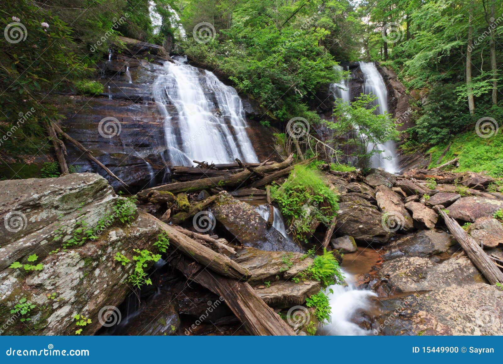 Anna Ruby Falls stock photo. Image of rhodendrum, chattahoochee - 15449900