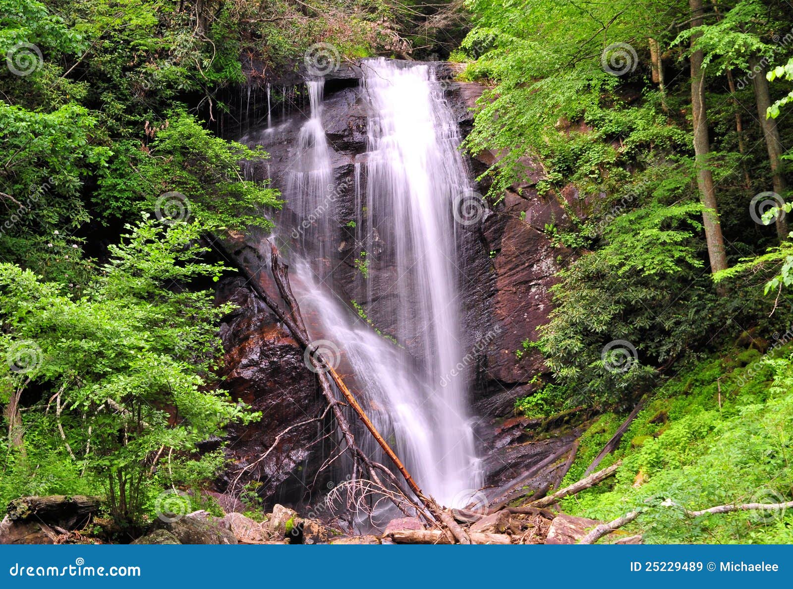 Anna Ruby Falls stock image. Image of landscape, flowing - 25229489