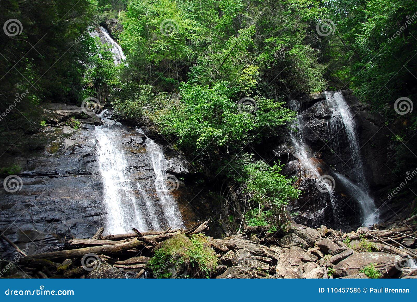 Anna Ruby Falls stock photo. Image of stream, branches - 110457586