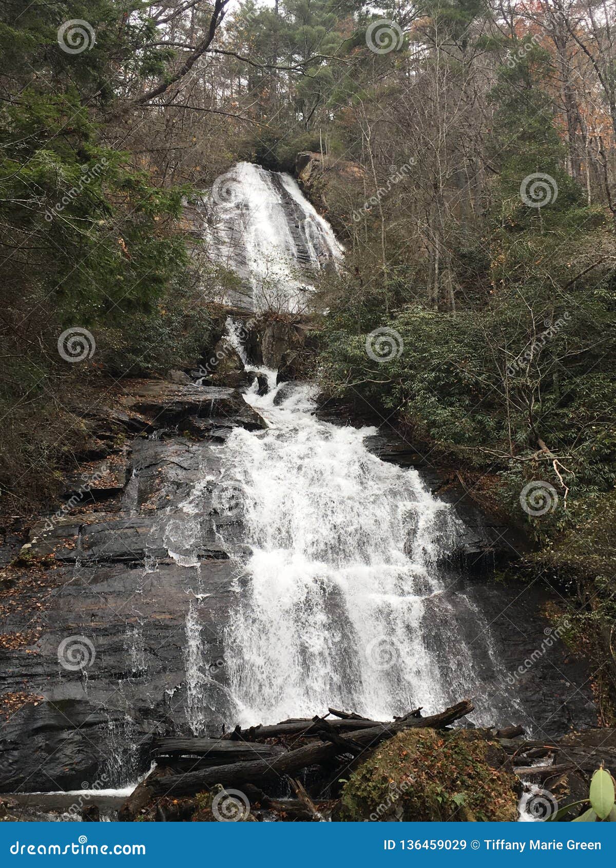 Anna Ruby Falls stock image. Image of falls, season - 136459029