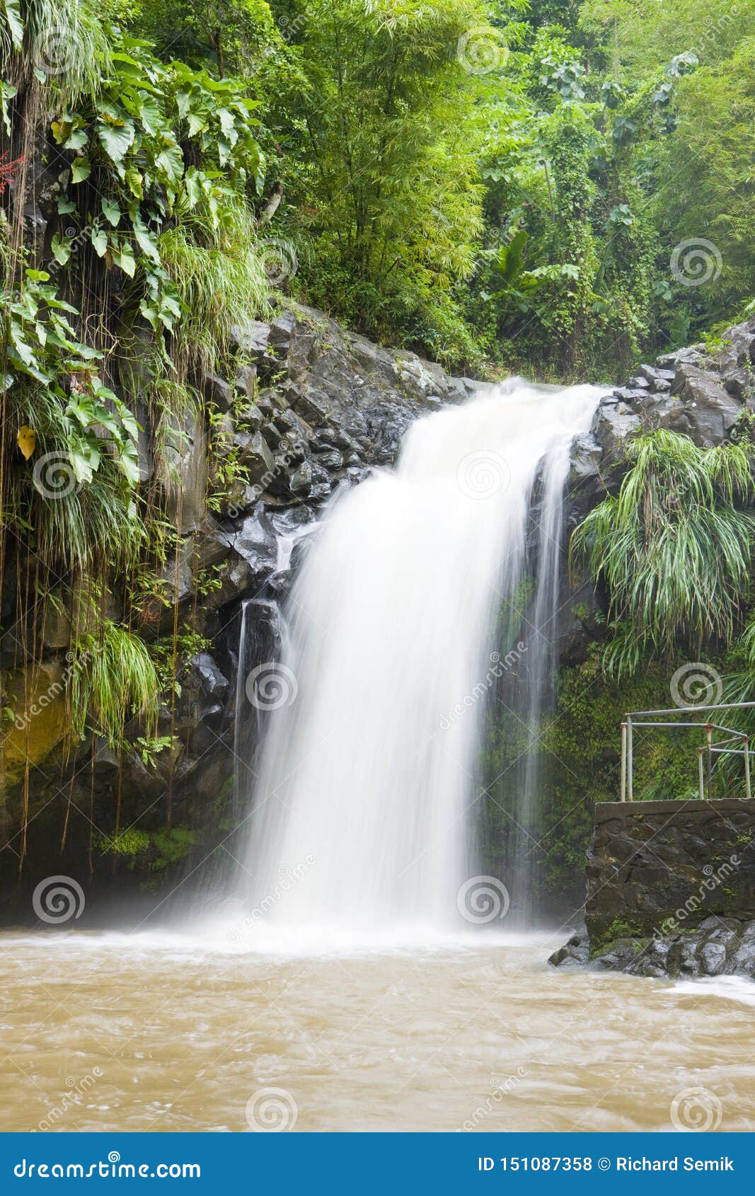 Annadale Waterfall Stock Photos - Free & Royalty-Free Stock Photos from ...