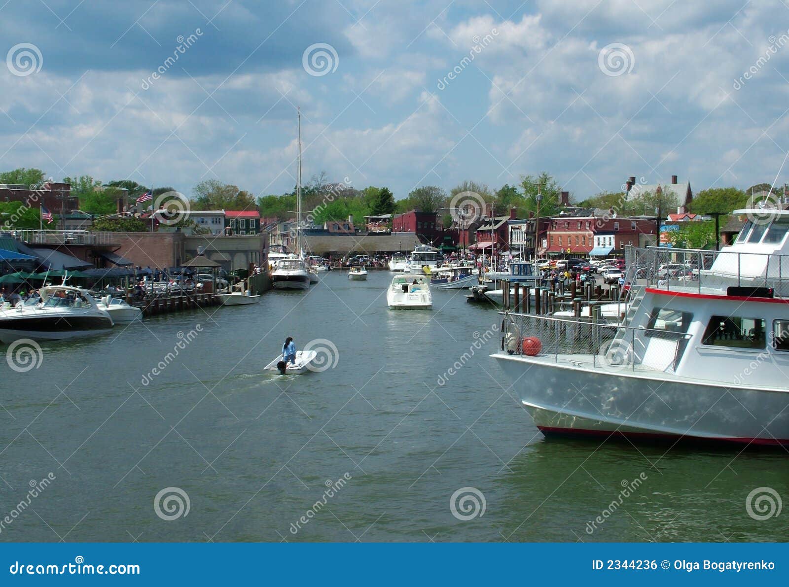 Annapolis Harbor stock photo. Image of buzzing, port, annapolis - 2344236