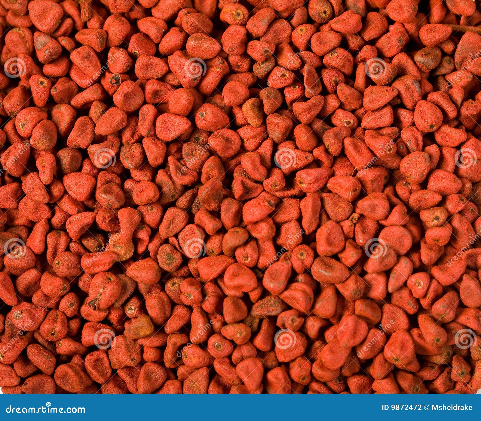 Annatto Seed Stock Photography - Image: 9872472