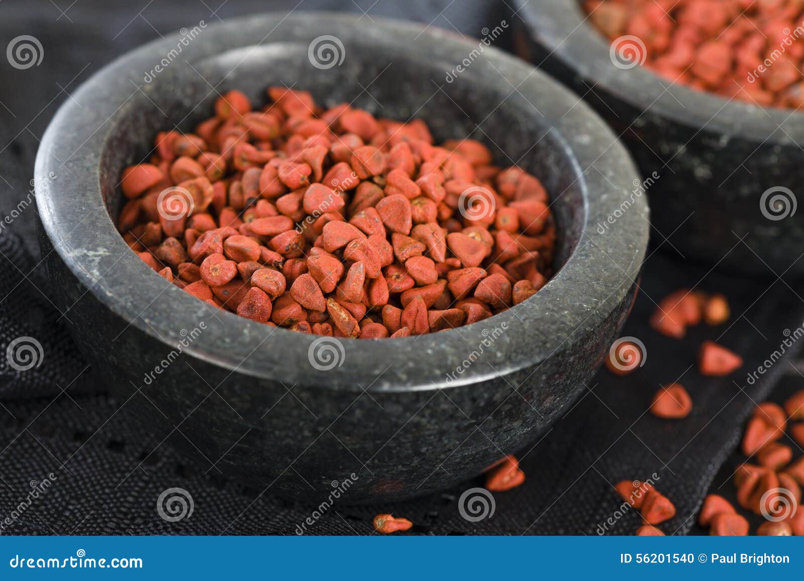 Annatto Seeds stock photo. Image of american, atsuete - 56201540