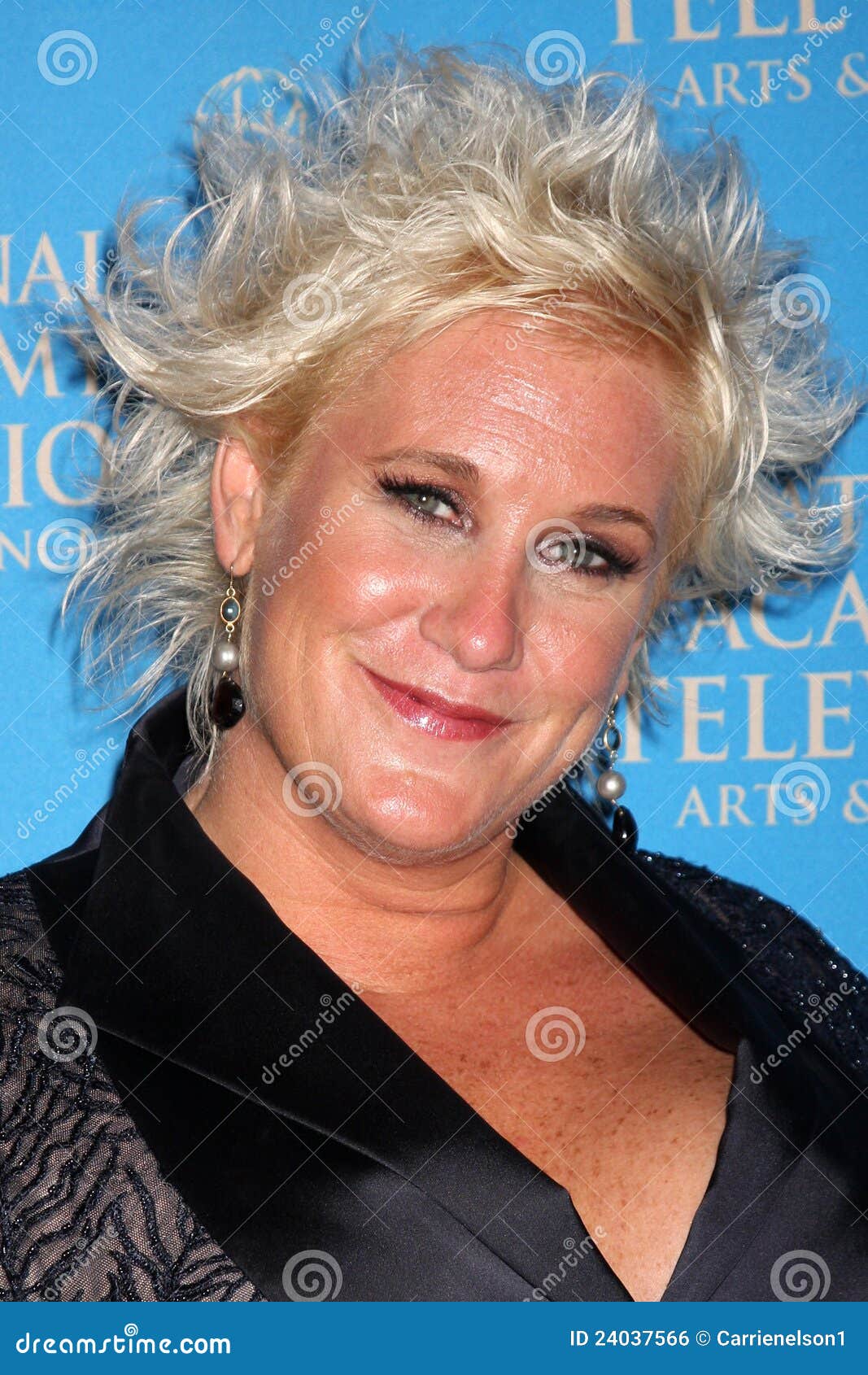Anne Burrell editorial photo. Image of area, bonaventure - 24037566