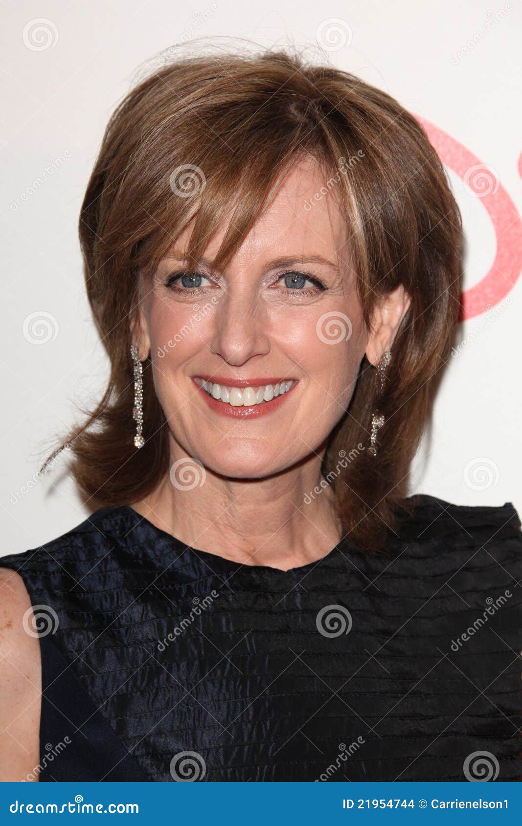 Anne Sweeney imagen de archivo editorial. Imagen de cumplimiento - 21954744