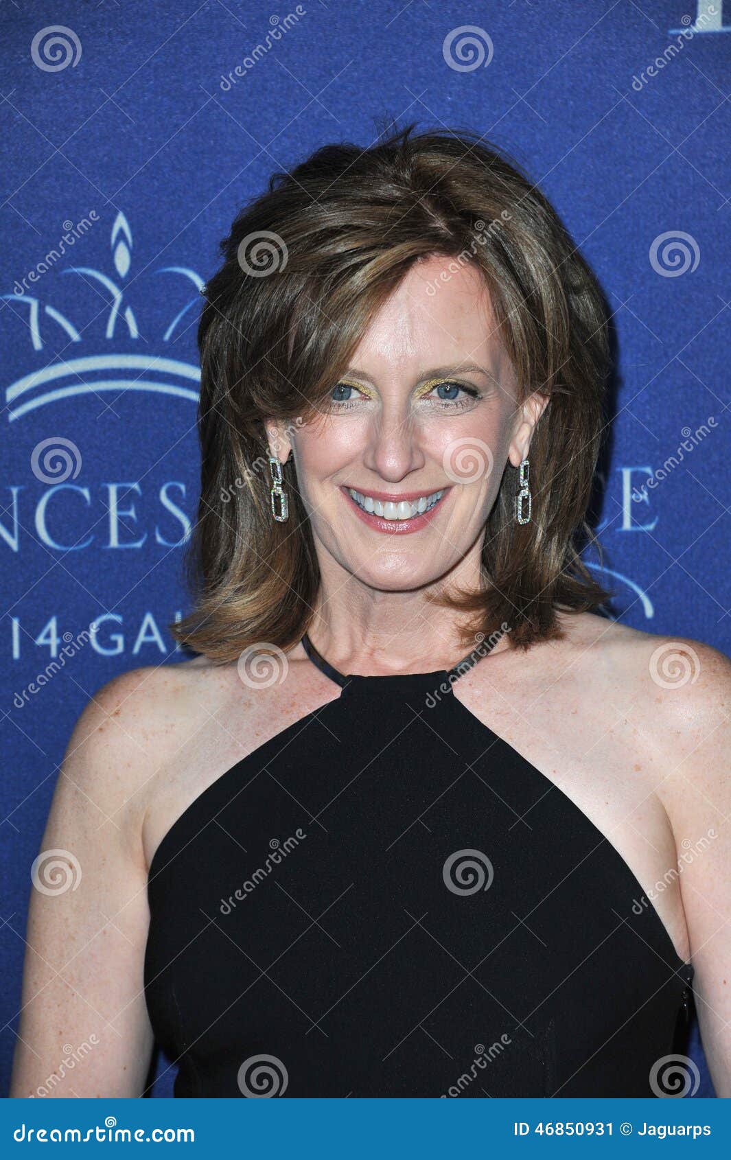 Anne Sweeney photo éditorial. Image du contact, sweeney - 46850931