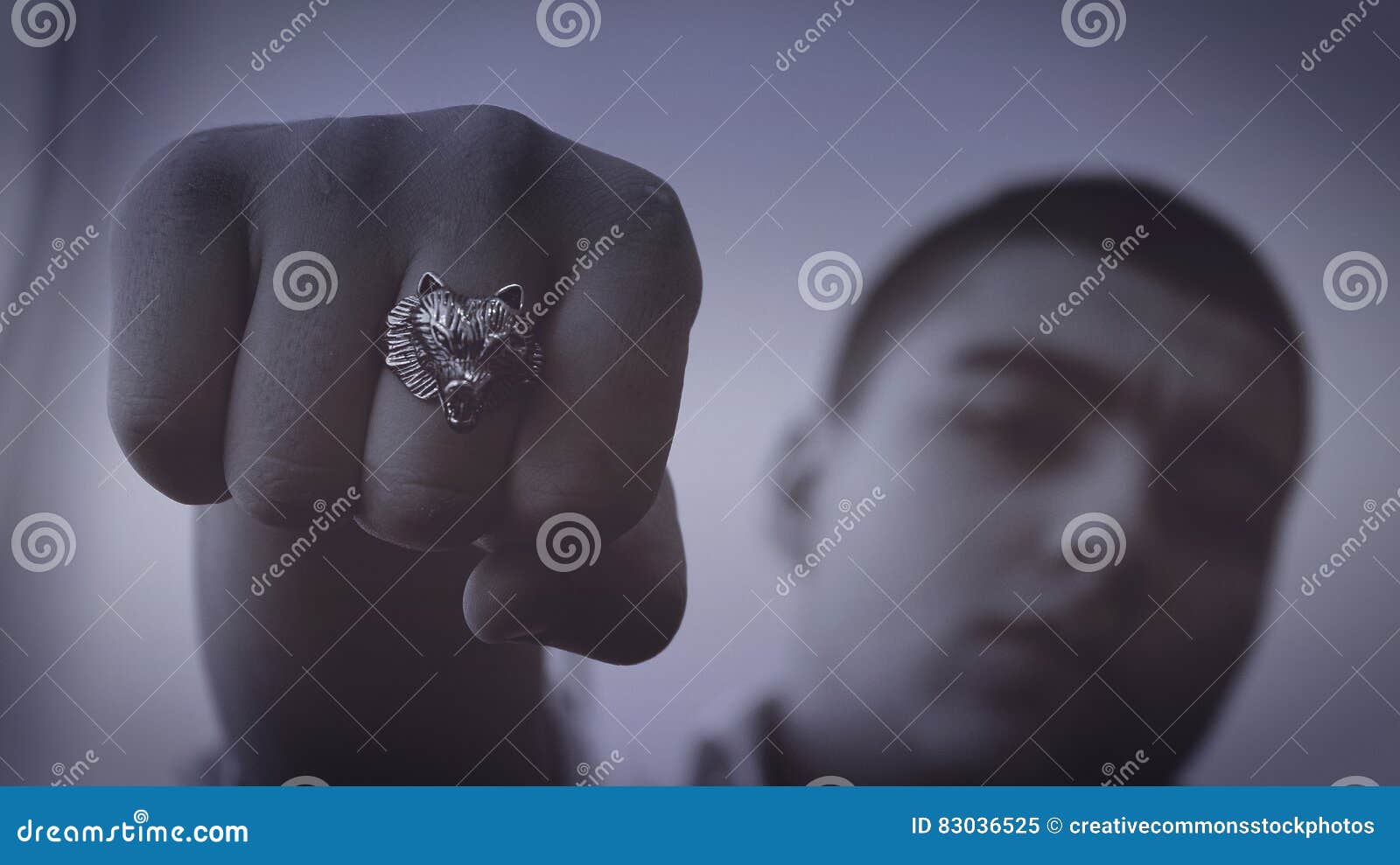 Anneau Principal De Lion Image. Image: 83036525