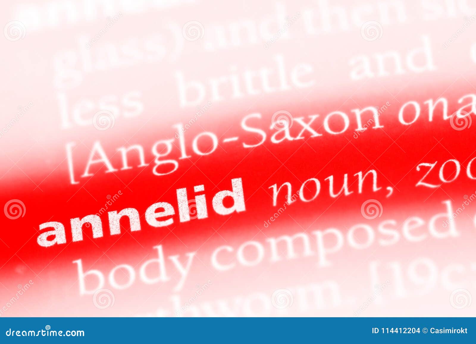 Annelid stock photo. Image of concept, definition, page - 114412204