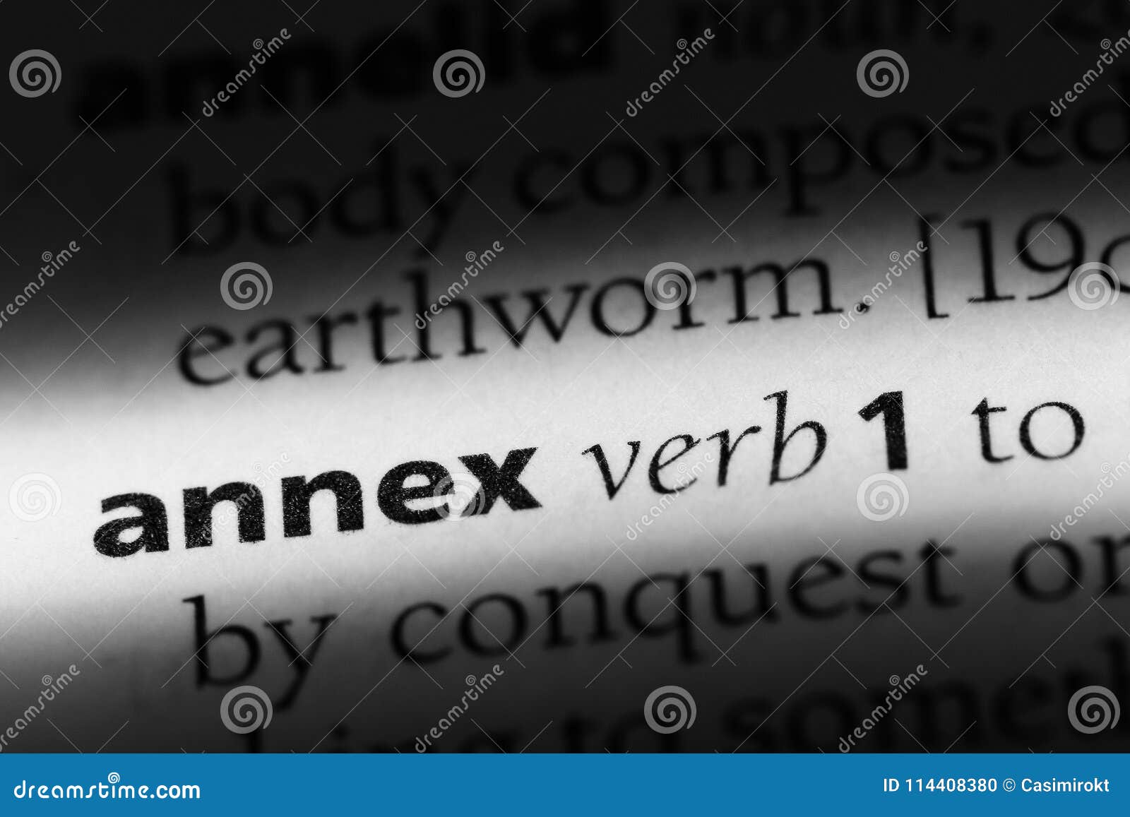 Annex stock photo. Image of paper, text, writing, isolated - 114408380