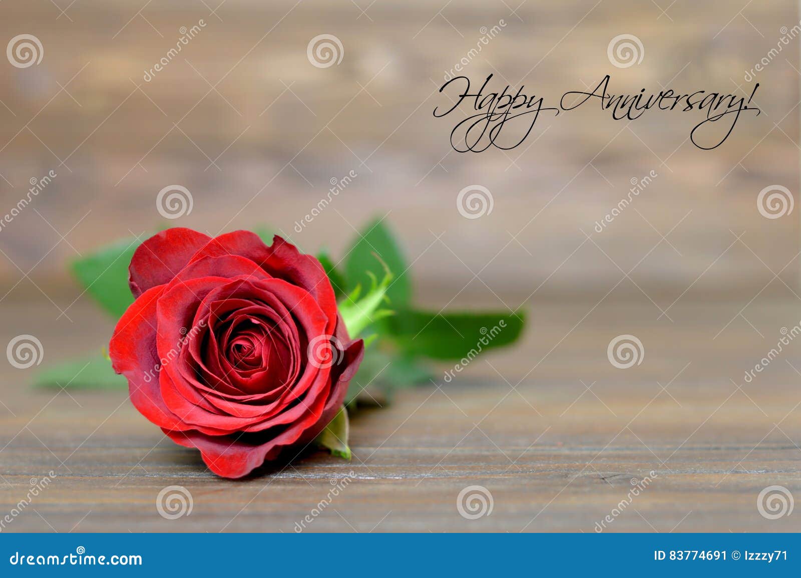 Anniversary Card with Red Rose Stock Image - Image of romance, gift ...