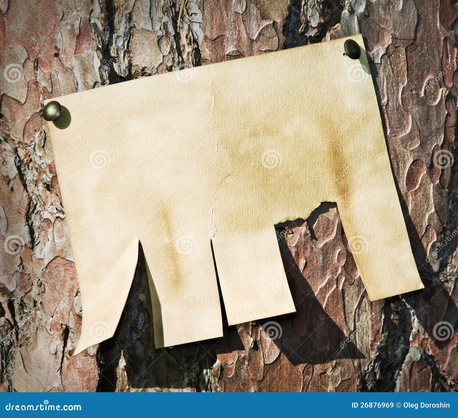 Announcement on the Old Paper Stock Image - Image of pattern ...