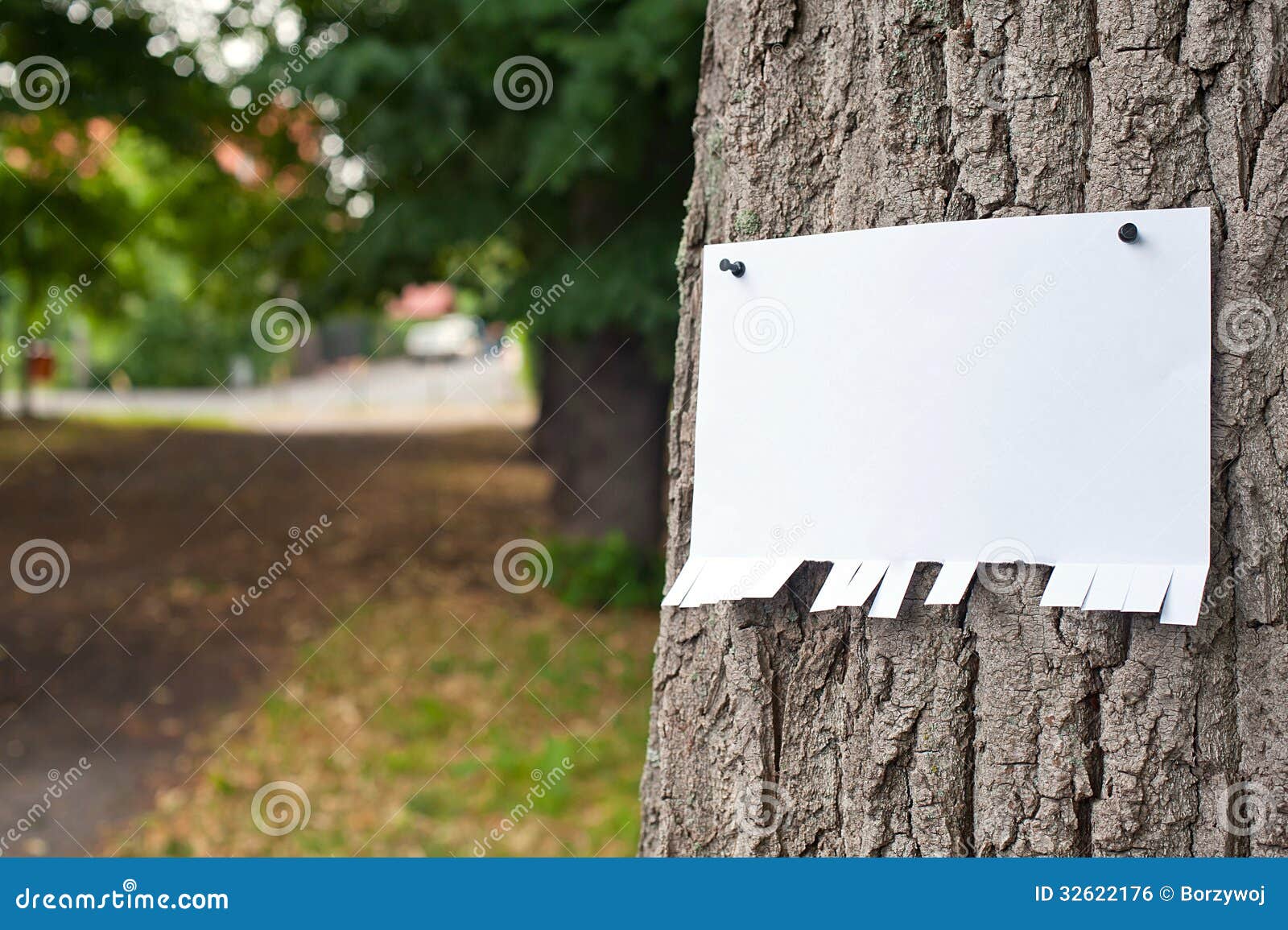 Announcement on tree stock photo. Image of note, paper - 32622176