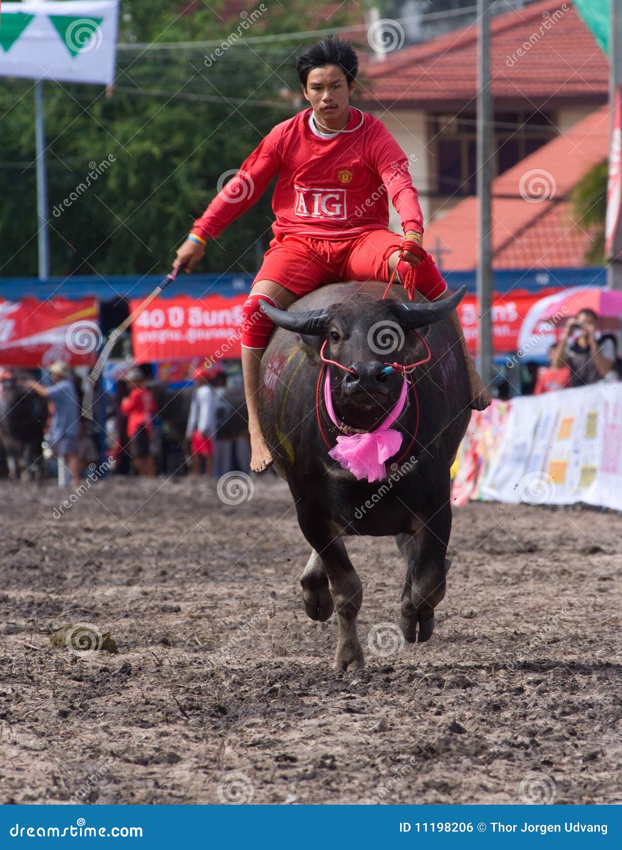 Annual Buffalo Races in Chonbburi 2009 Editorial Photo - Image of ...
