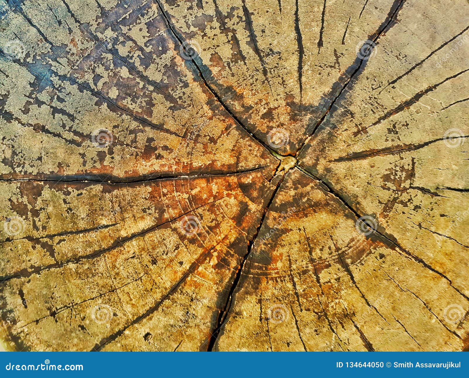 The Annual Ring of Wood for Background Wallpaper Stock Photo - Image of ...