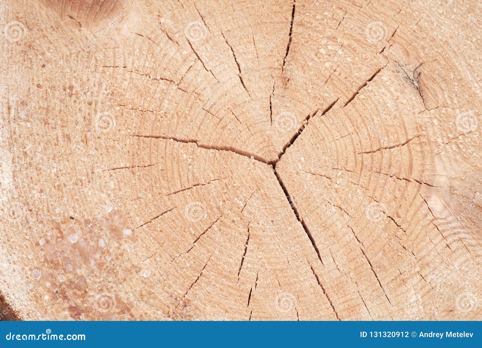 Annual Rings and Crack on Sawn Pine, Wood Texture Stock Photo - Image ...