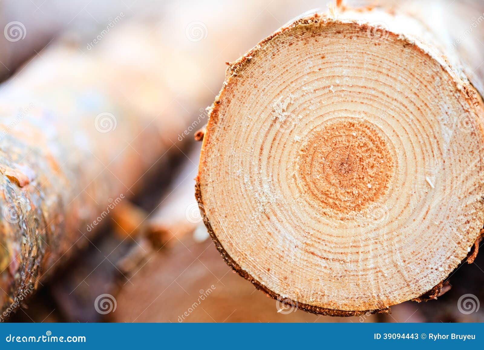 Timber Wood Texture Background Royalty-Free Stock Image | CartoonDealer ...