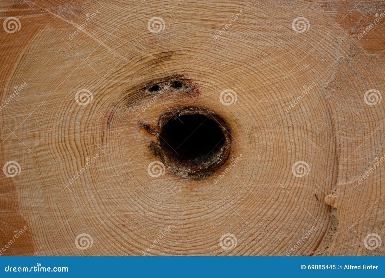 Annual Rings of a Tree Trunk Stock Image - Image of tree, norway: 69085445