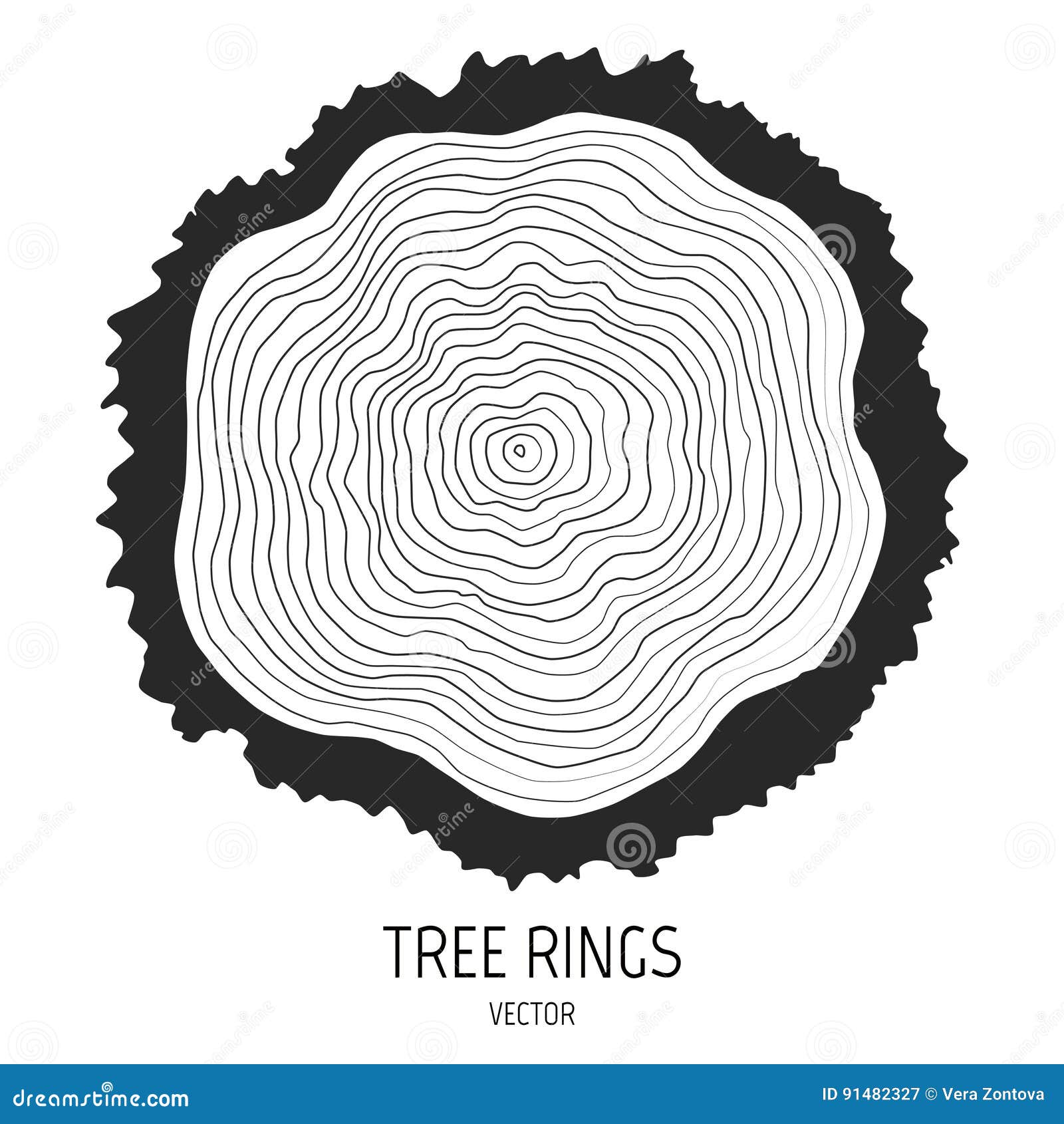 Annual tree rings. stock vector. Illustration of bark - 91482327