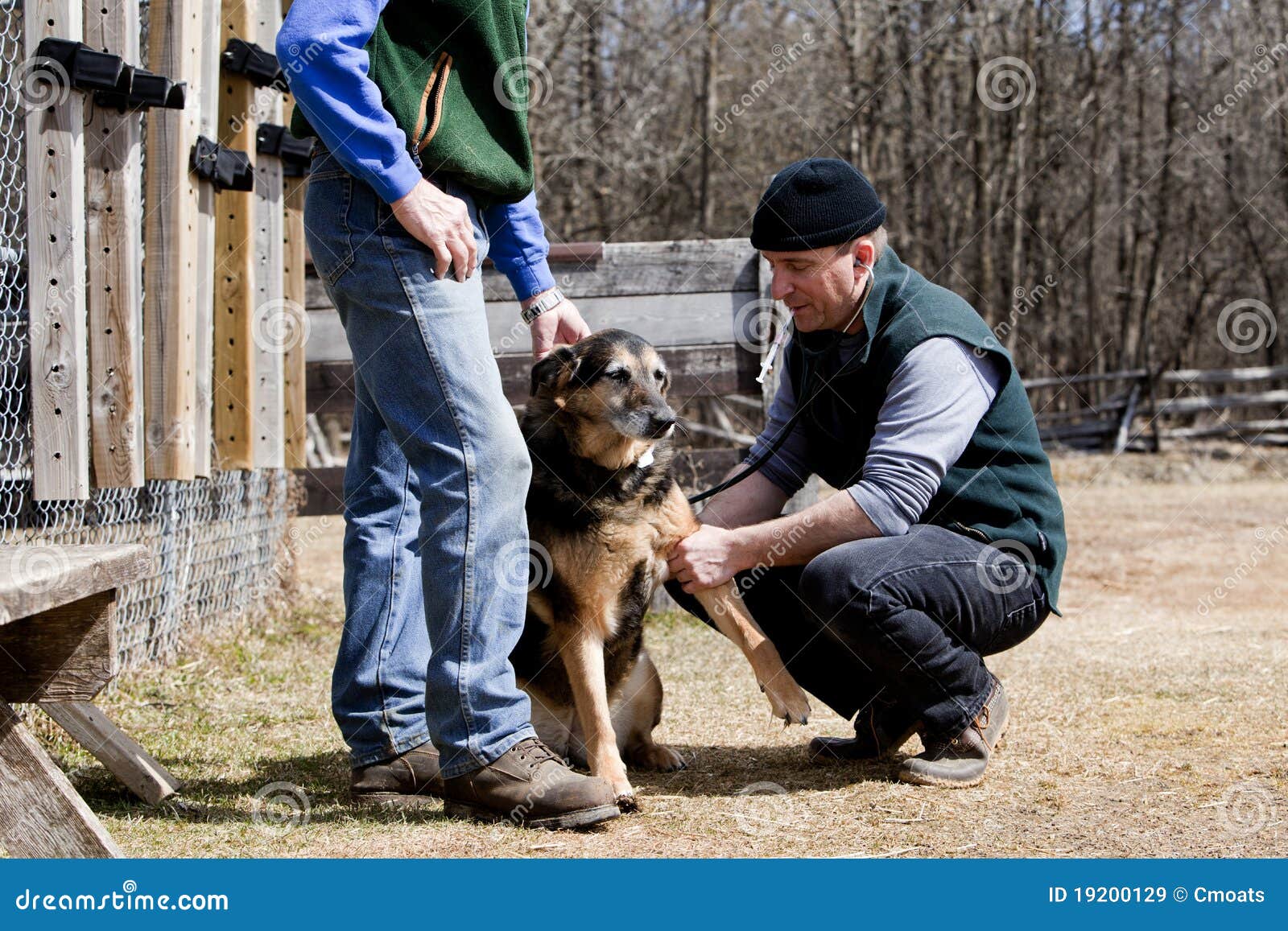 Annual Veterinary visit stock image. Image of spring - 19200129