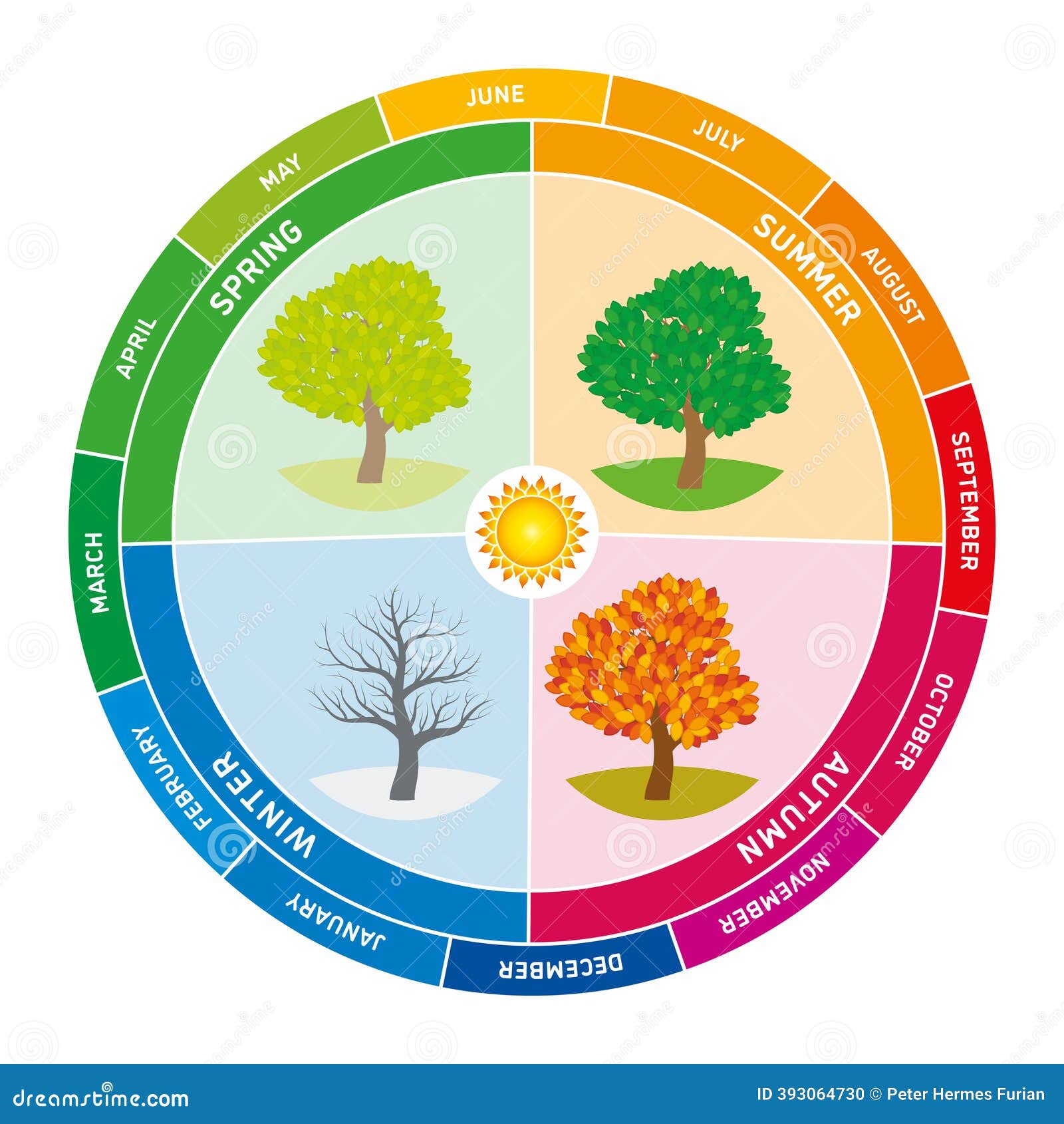 Circular Chart, Graph. Progress, Completion, Step Indicator. Diagram ...