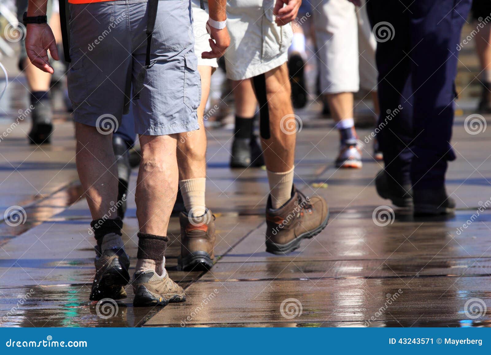 An Annually Recurring Large Walking Event Stock Image - Image of woman ...