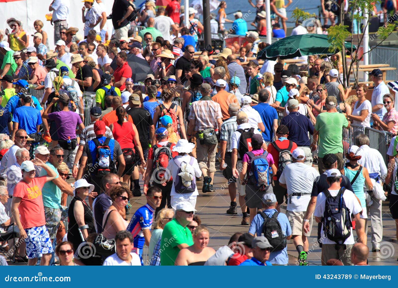 An Annually Recurring Large Walking Event Editorial Stock Image - Image ...