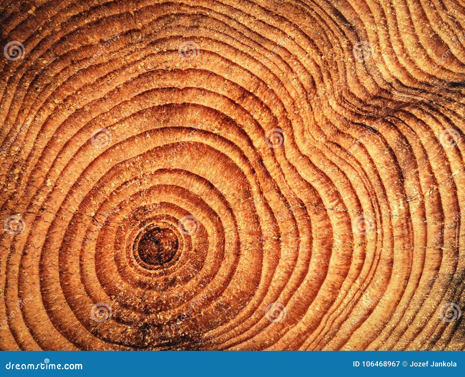 Wooden Annular Rings Stock Photography | CartoonDealer.com #104881856