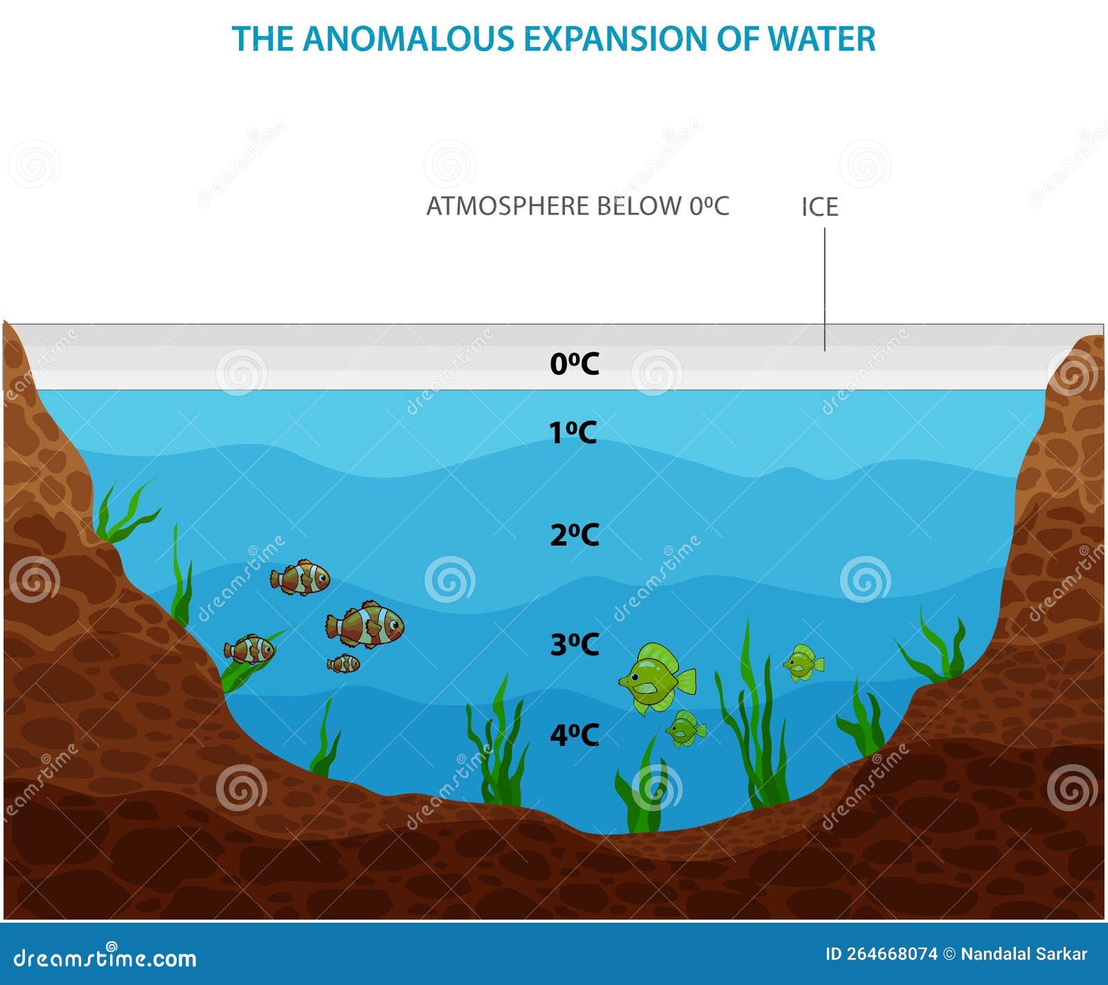 The Anomalous Expansion of Water or Anomalous Behavior of Water Stock ...