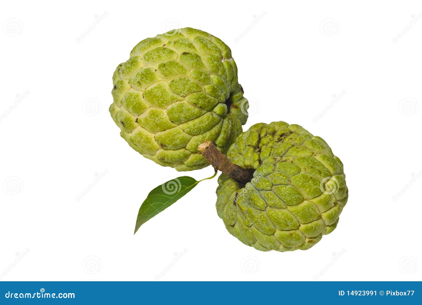 Anona imagen de archivo. Imagen de cierre, mermelada - 14923991