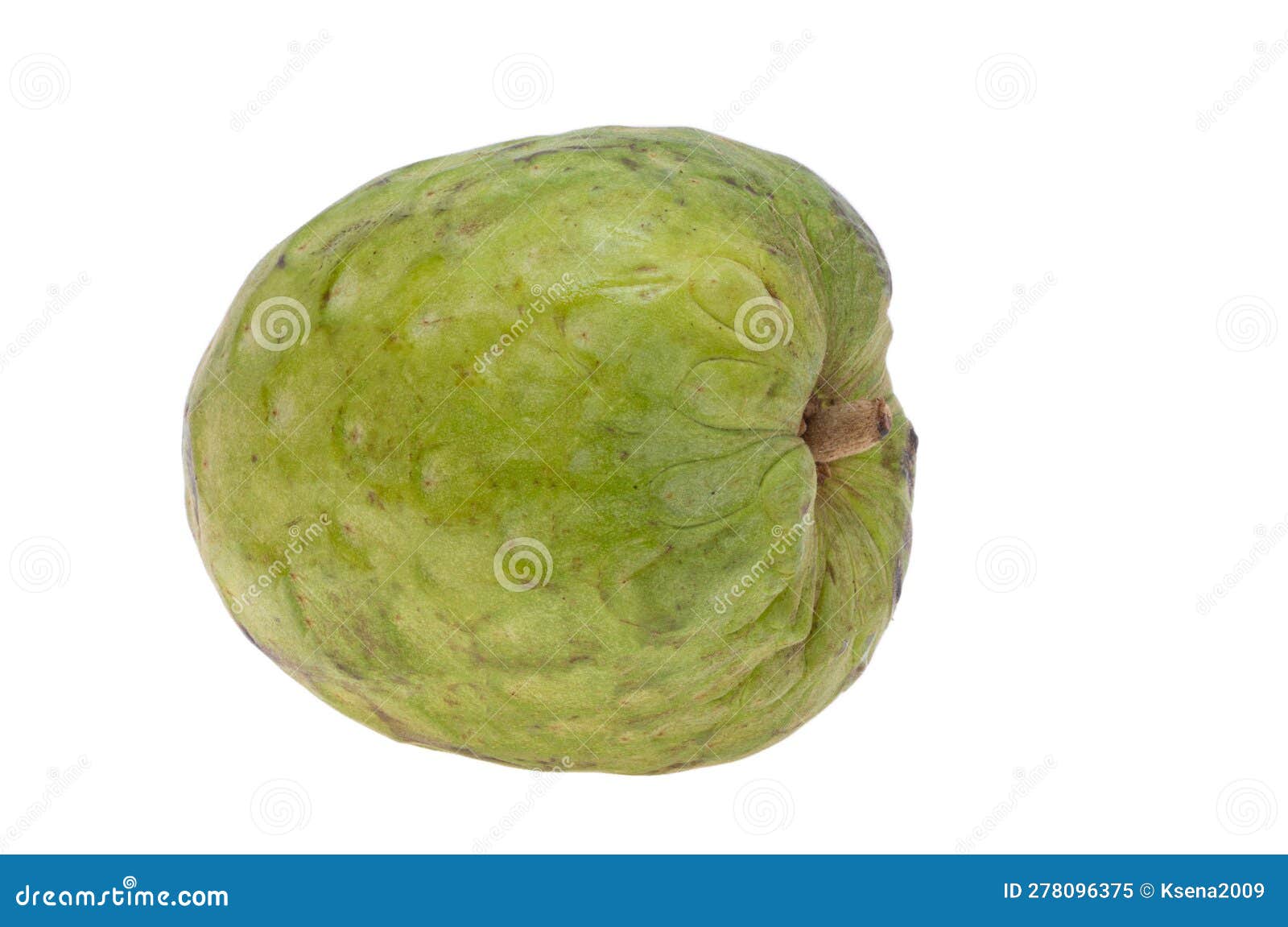 Anona aislada imagen de archivo. Imagen de blanco, sano - 278096375