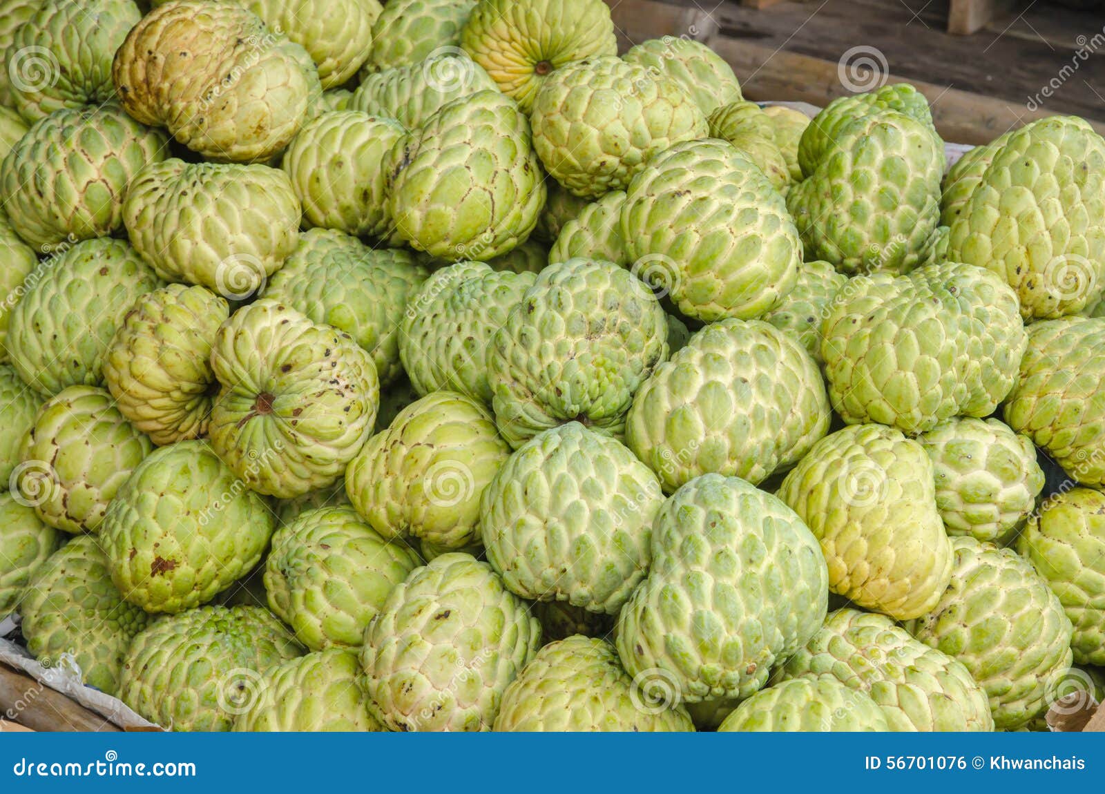 Anonas stock de ilustración. Ilustración de natillas - 56701076