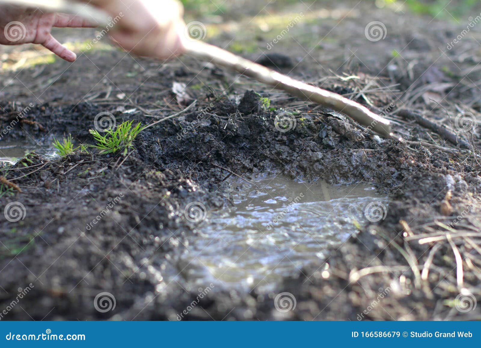 Anonymous Child Hands Playing with Stick in Mud of Backyard Stock Image ...