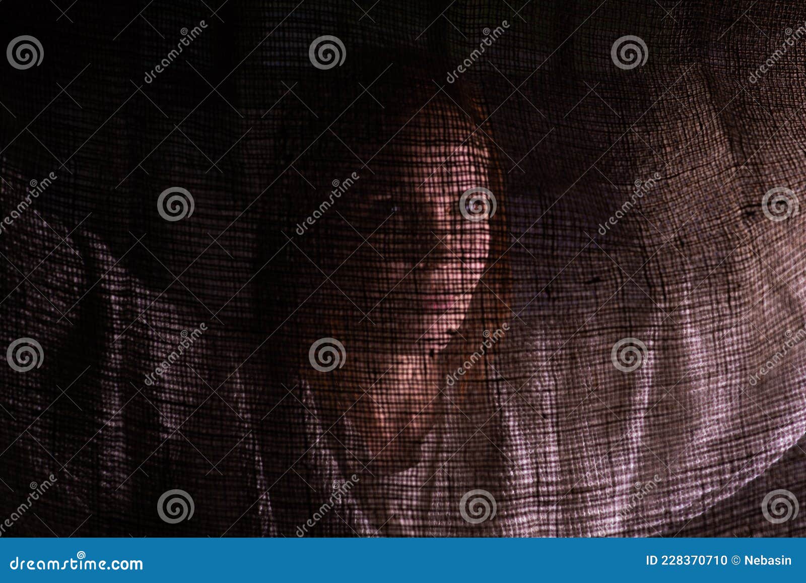 Anonymous, Hidden Image of a Woman. a Woman in the Dark Behind a Cloth ...