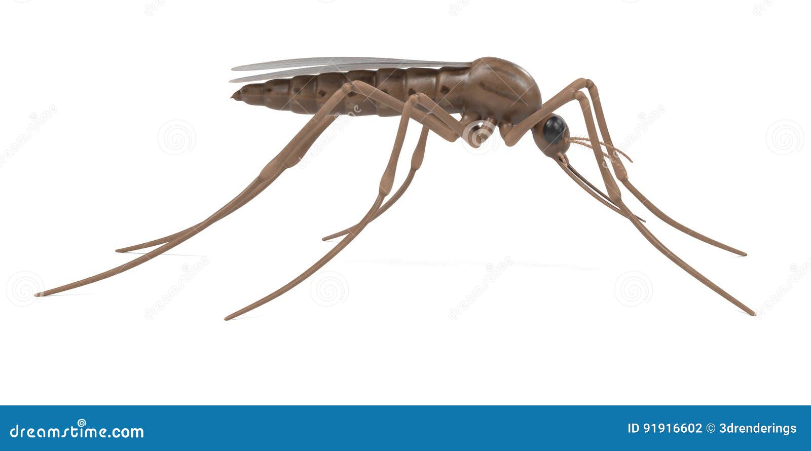 Anopheles Cartoons, Illustrations & Vector Stock Images - 980 Pictures ...