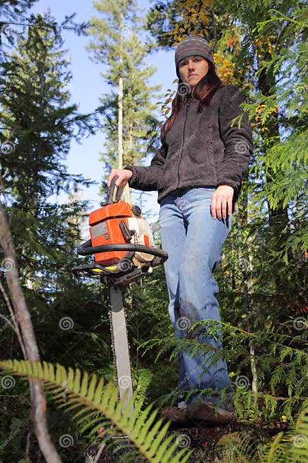 Another Beautiful Logger stock image. Image of logging - 11700995