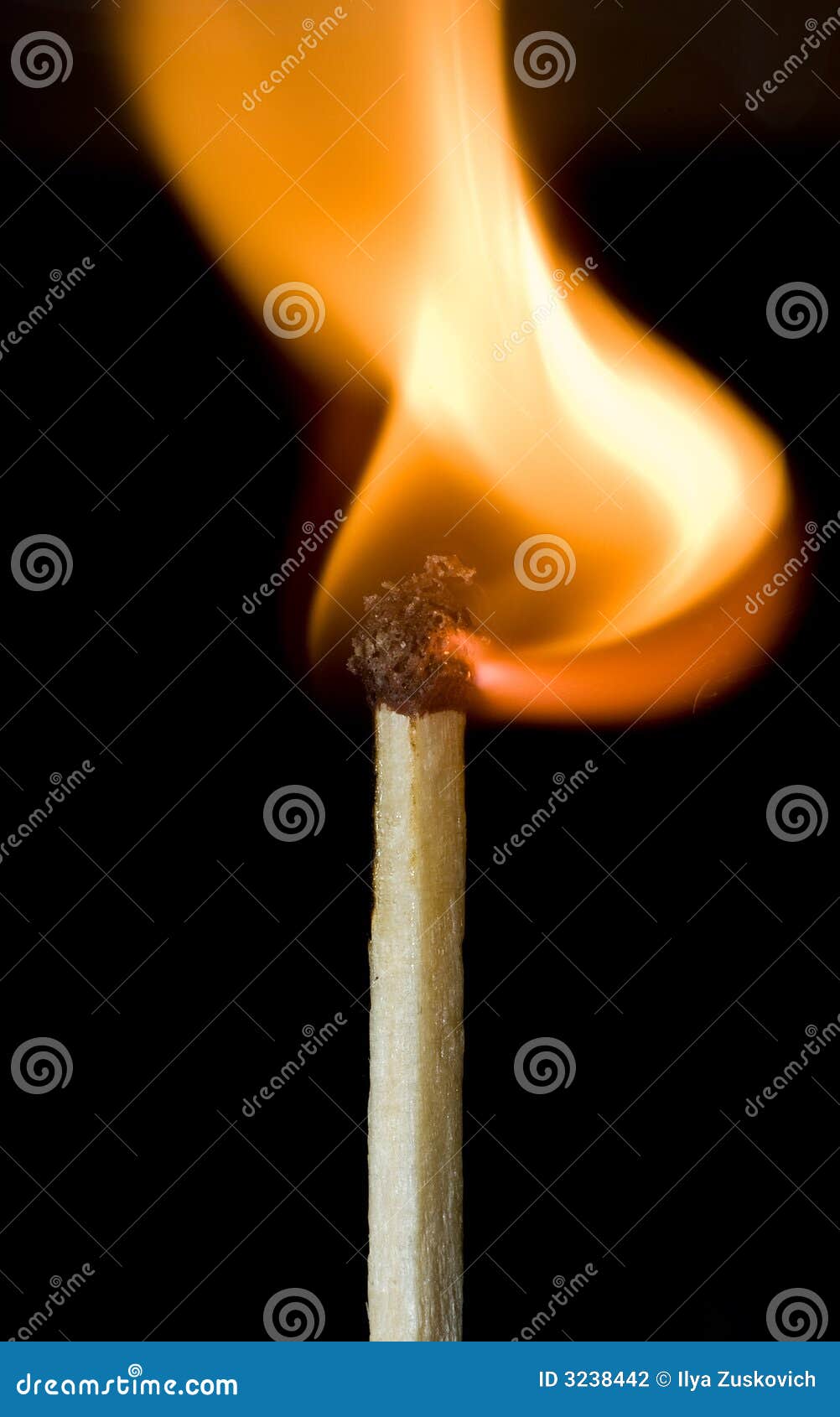 Another Burning Safety Match Stock Photo - Image of phlogiston ...
