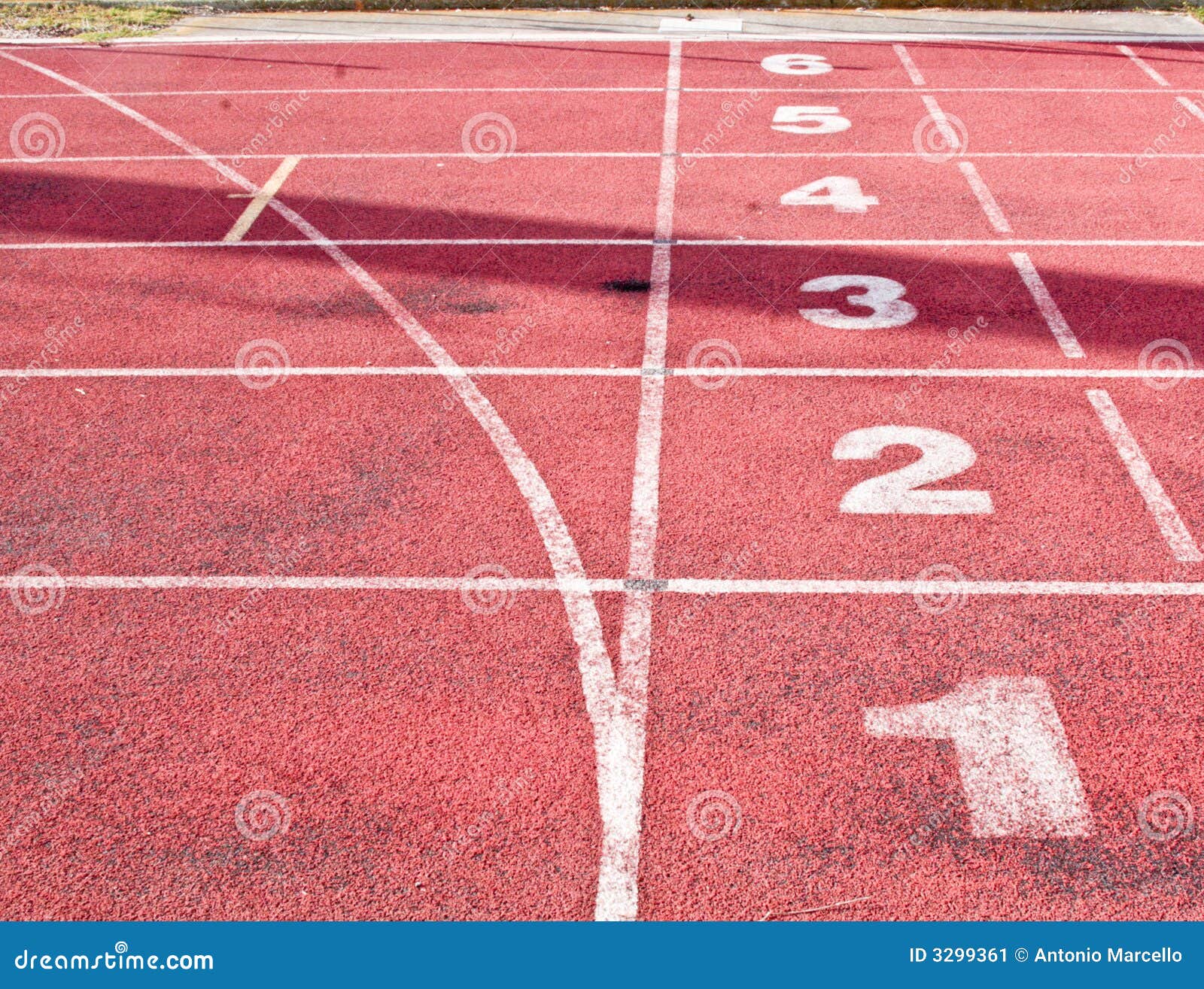 Another Lap Picture. Image: 3299361