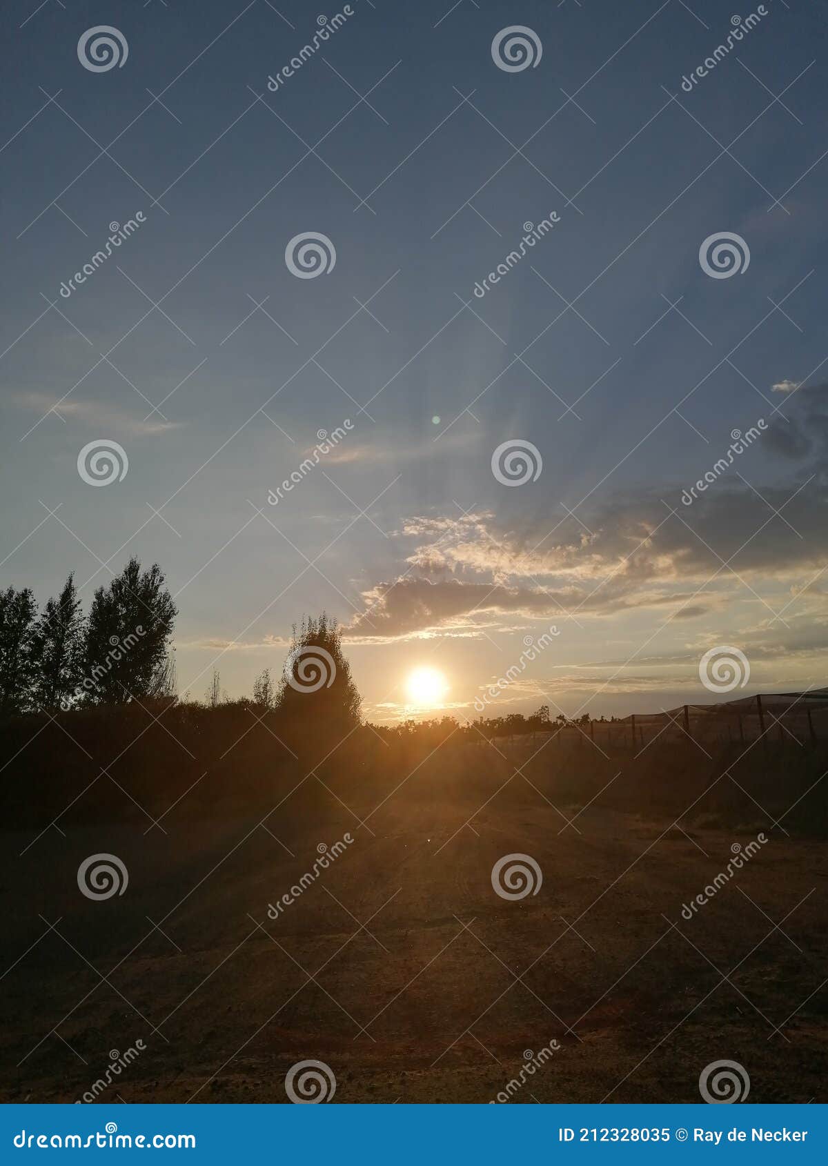 Another morning sunrise stock image. Image of nature - 212328035