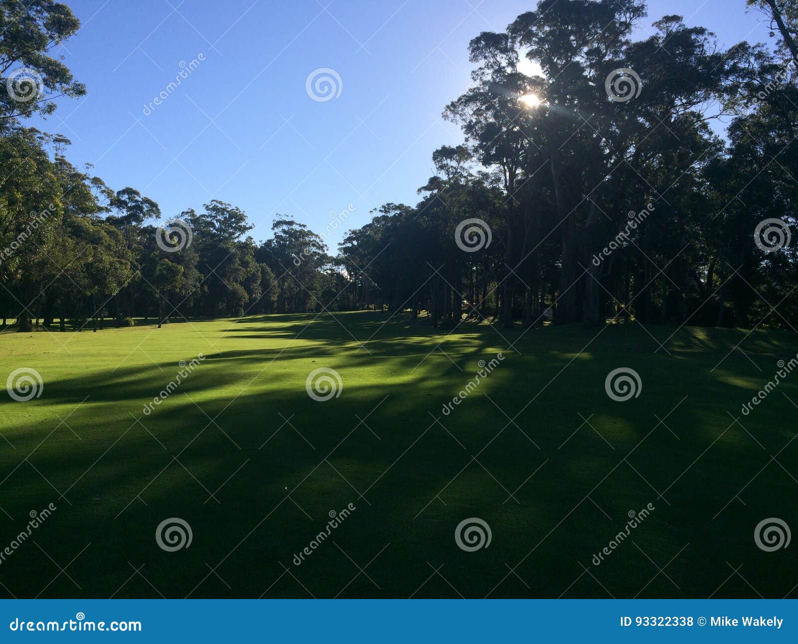 Another round of golf stock photo. Image of green, lawn - 93322338