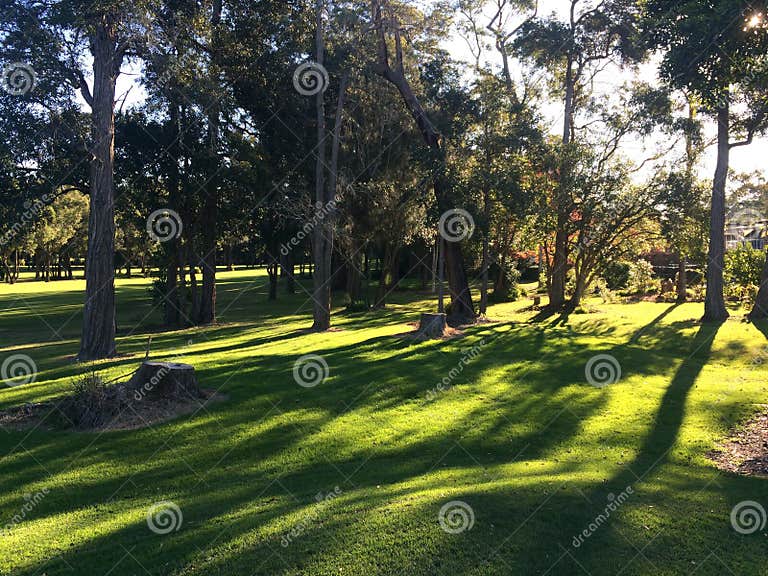 Another round of golf stock image. Image of round, landscaping - 93322367