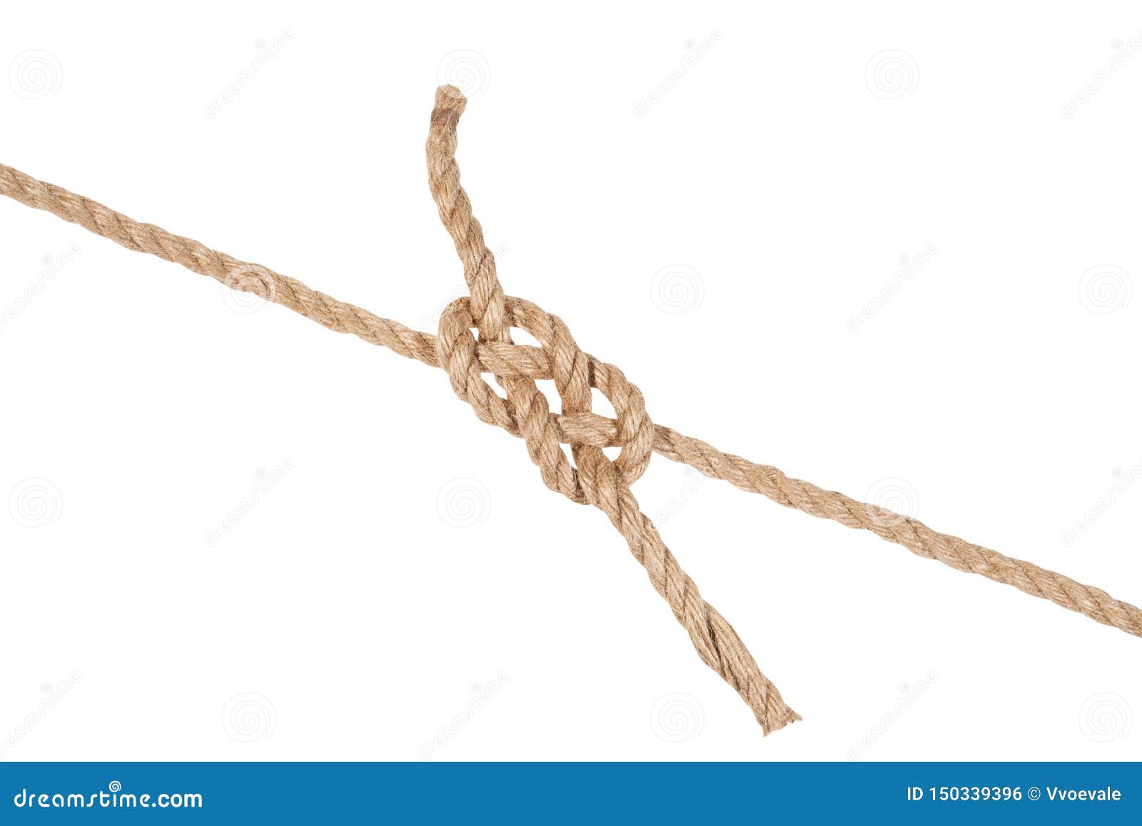 Another Side of Carrick Bend Knot Joining Ropes Stock Photo - Image of ...