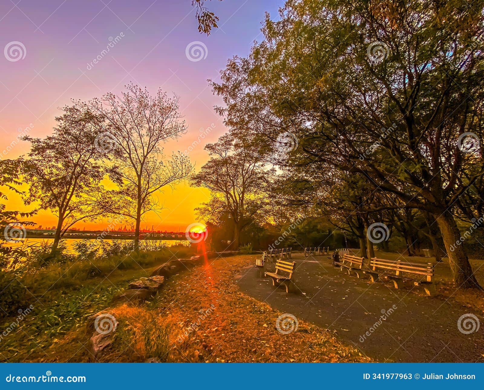Another Splendid Day in a Forest Park. Stock Image - Image of night ...