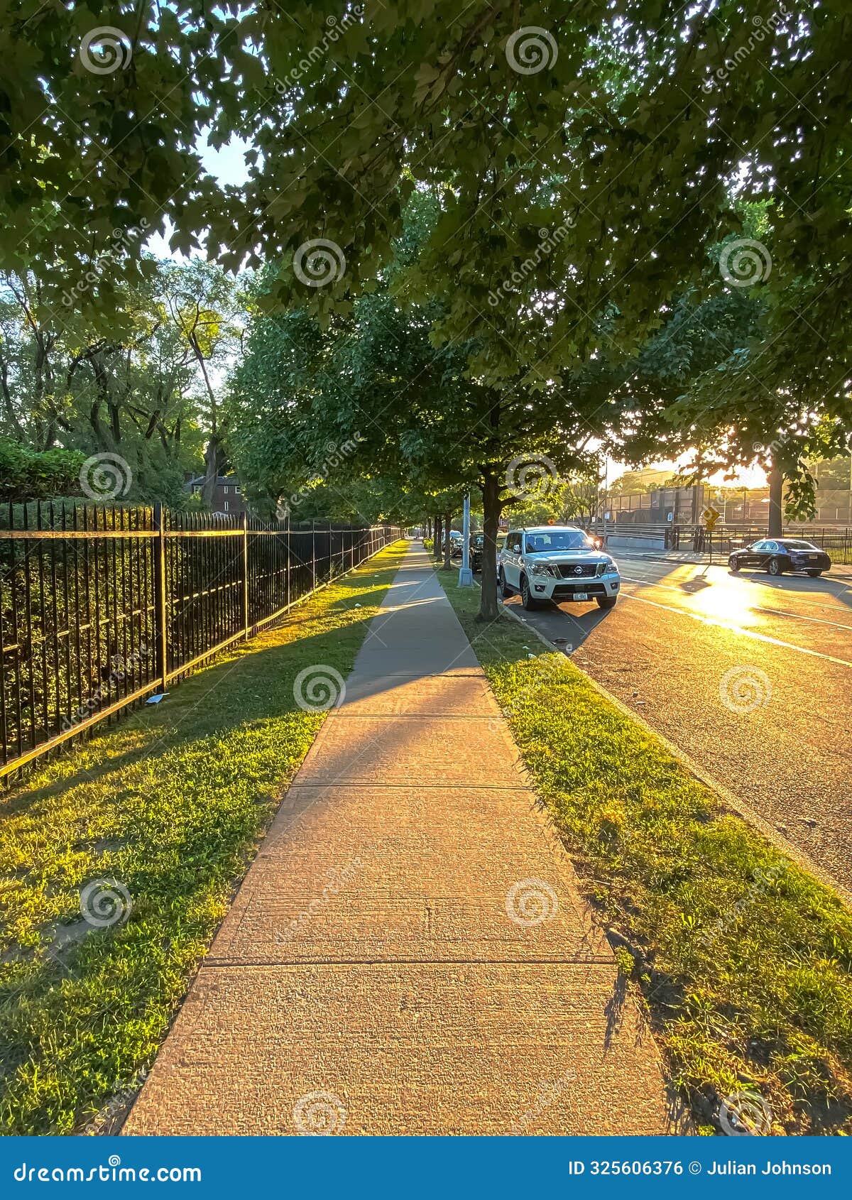 Another Splendid Evening in the Bronx. Stock Photo - Image of trees ...