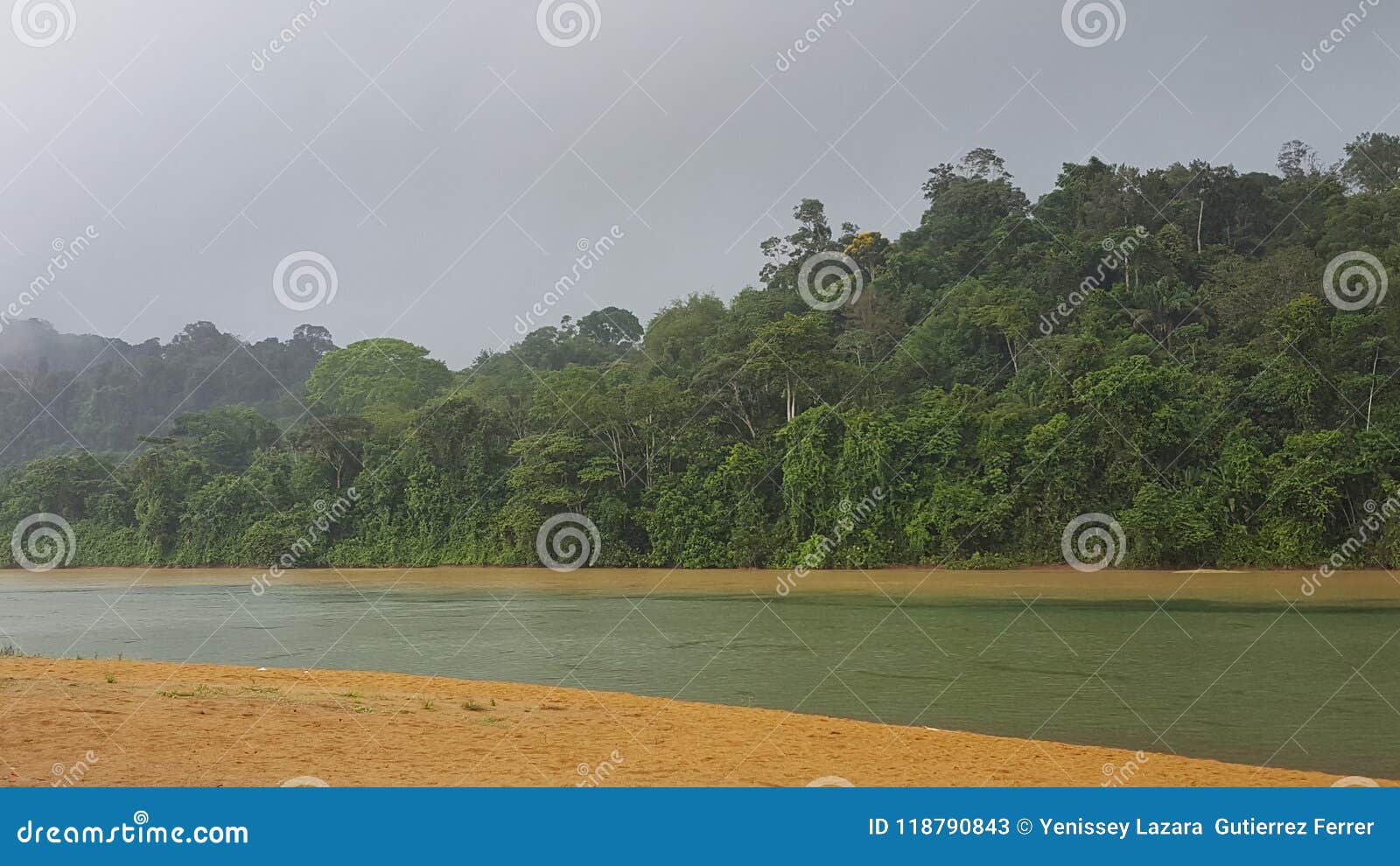 Another View of a River in Suriname Stock Image - Image of river, water ...