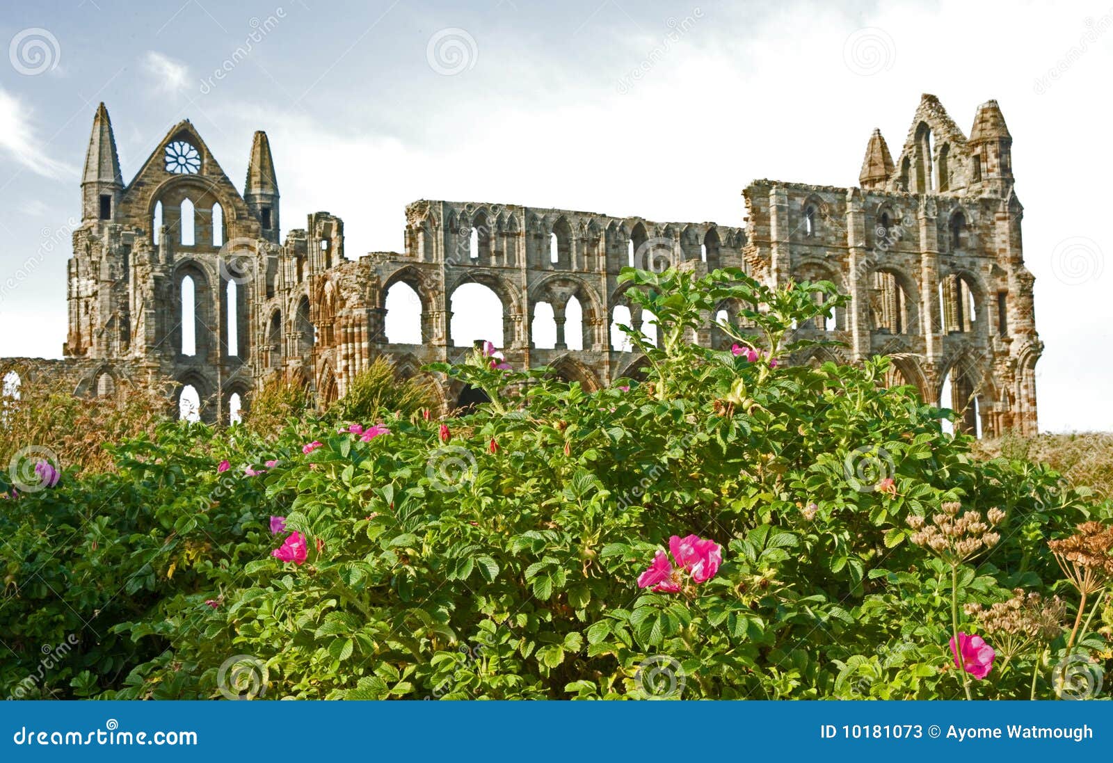 Another View of Whitby Abbey. Stock Image - Image of founded, roman ...