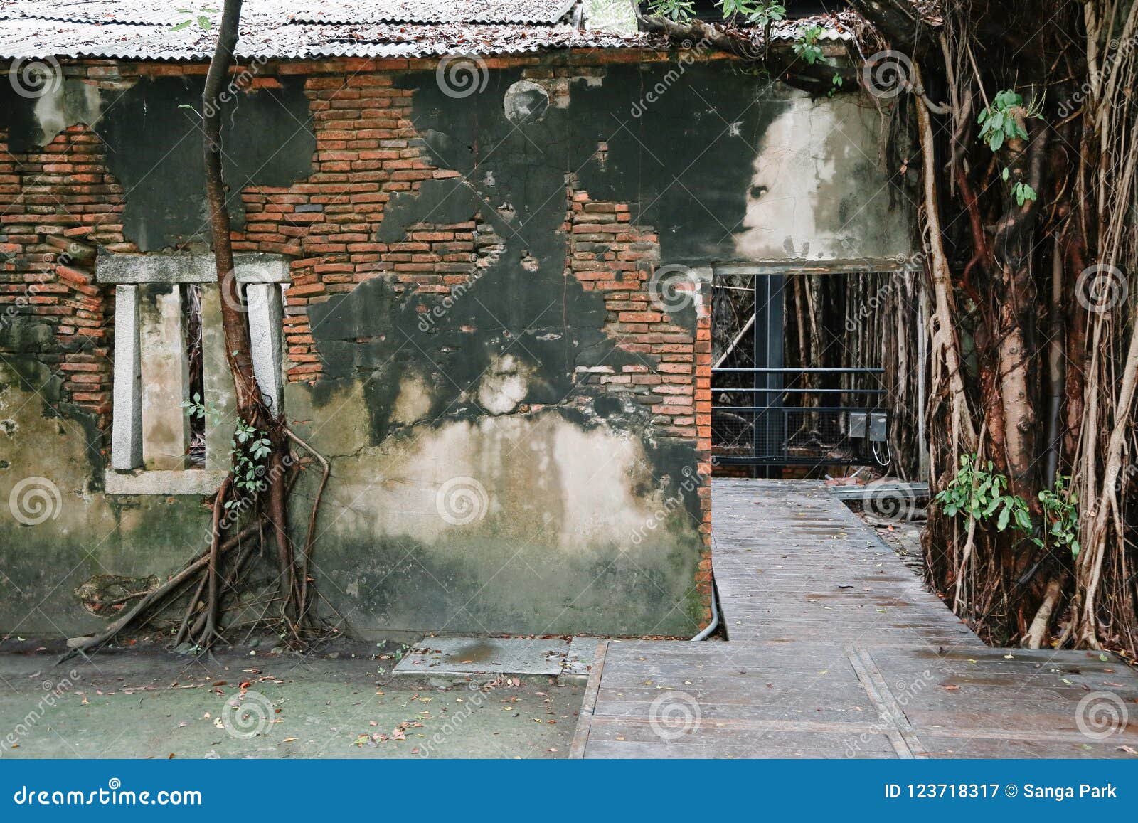 Anping Tree House, Historical Architecture in Tainan, Taiwan Stock ...